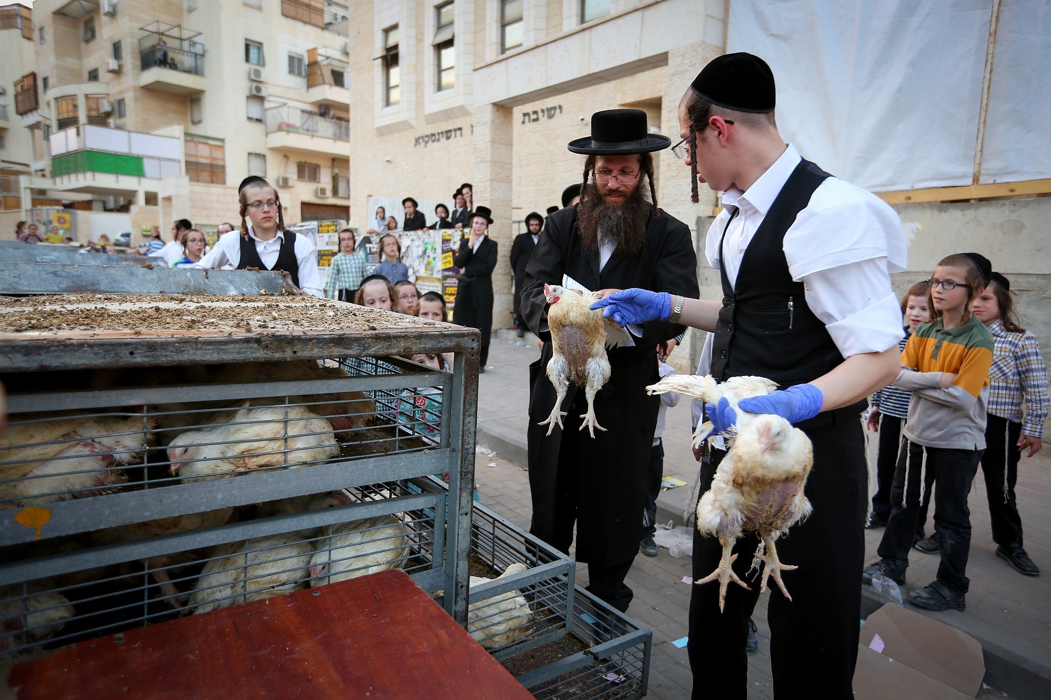 Chicken-swinging ritual endures despite animal welfare concerns | The ...