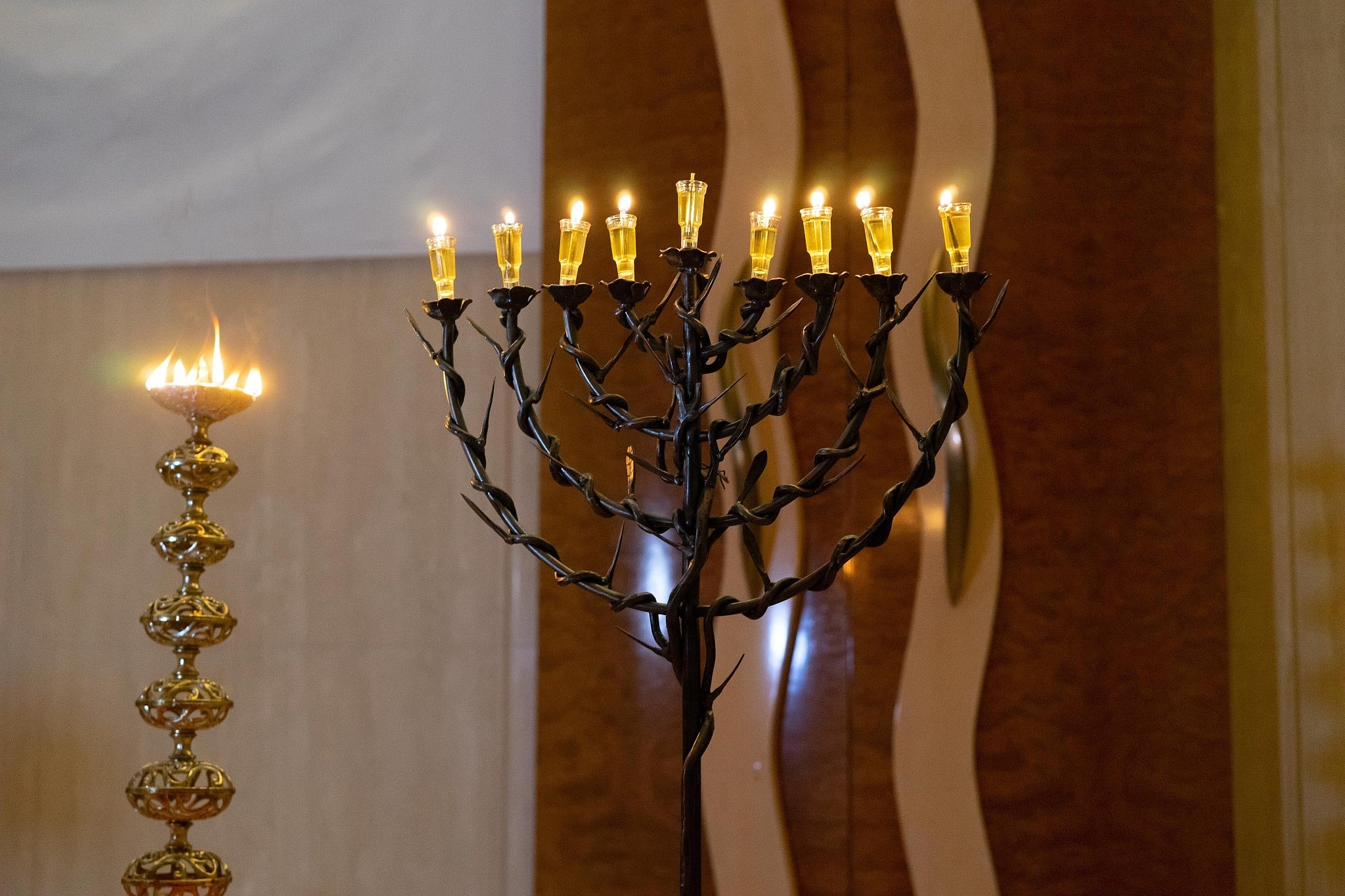 Two holidays, one theme: Hindus, Jews celebrate joint festival of ...
