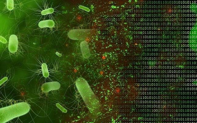 Bacteria-hunting kit aims to spot food hazards before they enter our ...