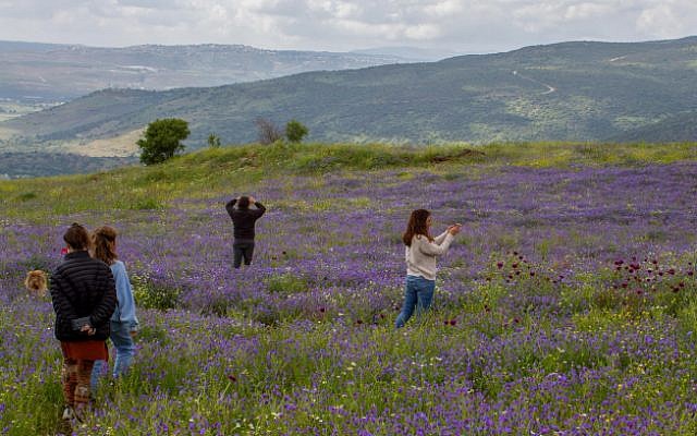 Tens of thousands visit Israel's national parks on Second Passover ...