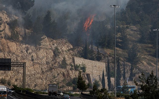 Fires rage across Israel amid heat wave; homes evacuated, roads closed ...