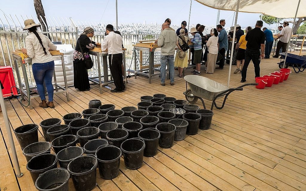 Temple Mount Sifting Project reboots, aims to salvage ancient temple ...