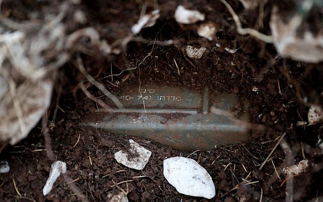 Lebanese clear wartime mines from famed cedar forests | The Times of Israel