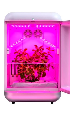 Snoop Dogg to promote Israeli pot-growing machine | The Times of Israel