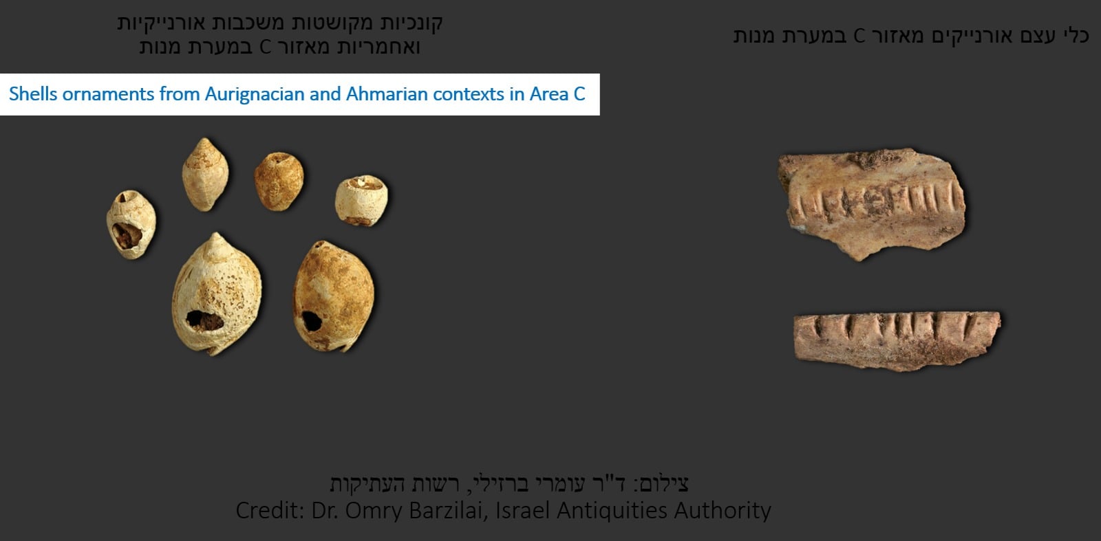 Ancient teeth show some early humans came to Israel from Europe 40,000 ...