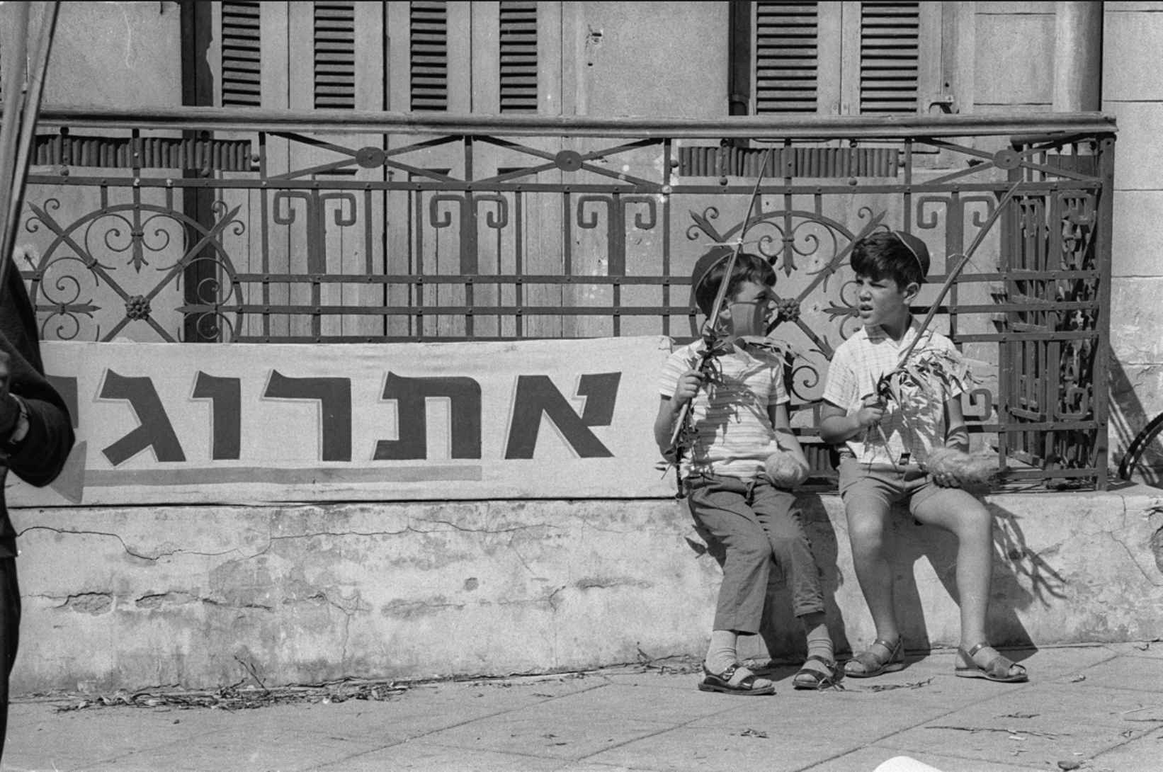 'Amazing' photographer of 50s-60s Israel emerges with posthumous ...
