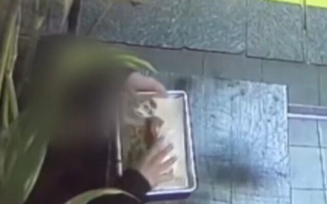 Man caught slipping cockroach into burger in bid for free meal | The ...