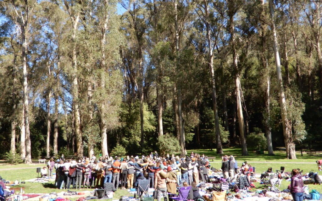 On New Year for trees, Jews and pagans go forest bathing to honor ...