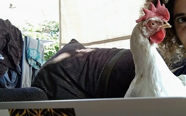 LISTEN: How to throw off the yoke of supermarkets and produce your own ...