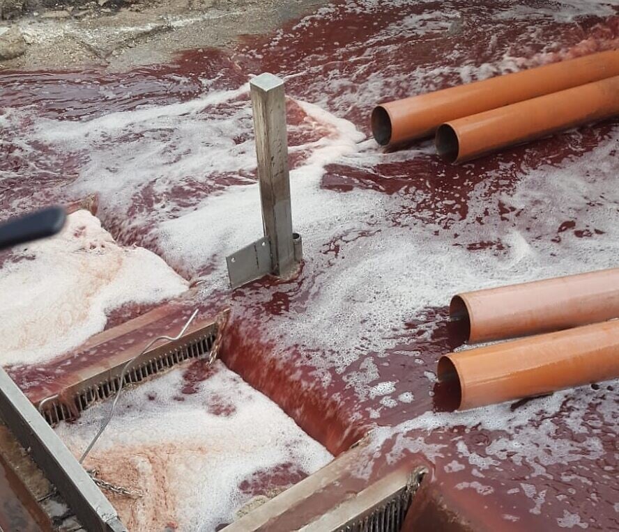 Stream runs red with blood as abattoir waste conjures up biblical ...