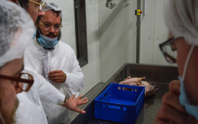 Europe’s only kosher slaughterhouse for geese switches to chicken due ...