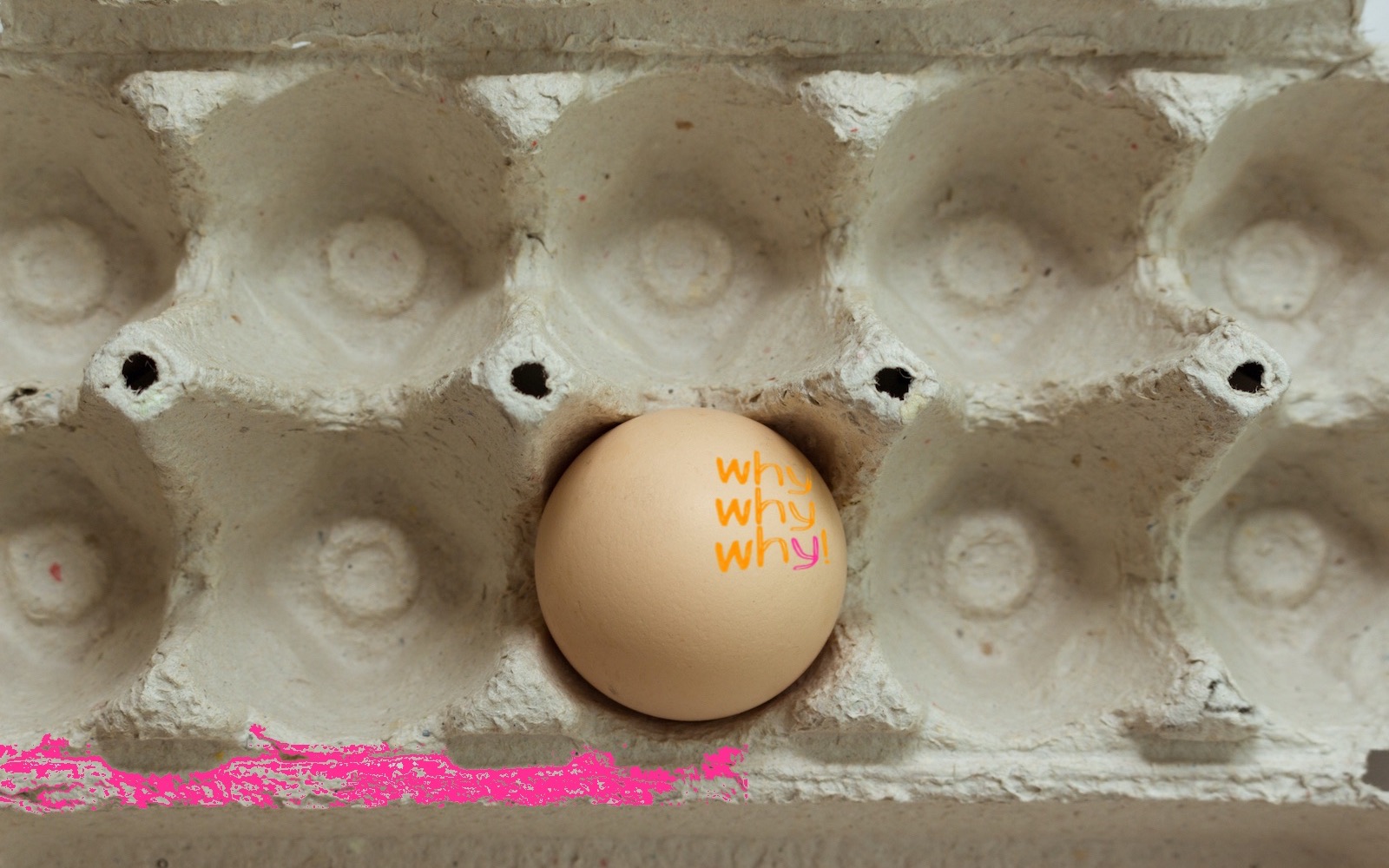 LISTEN: WhyWhyWhy! presents: Eggs | The Times of Israel