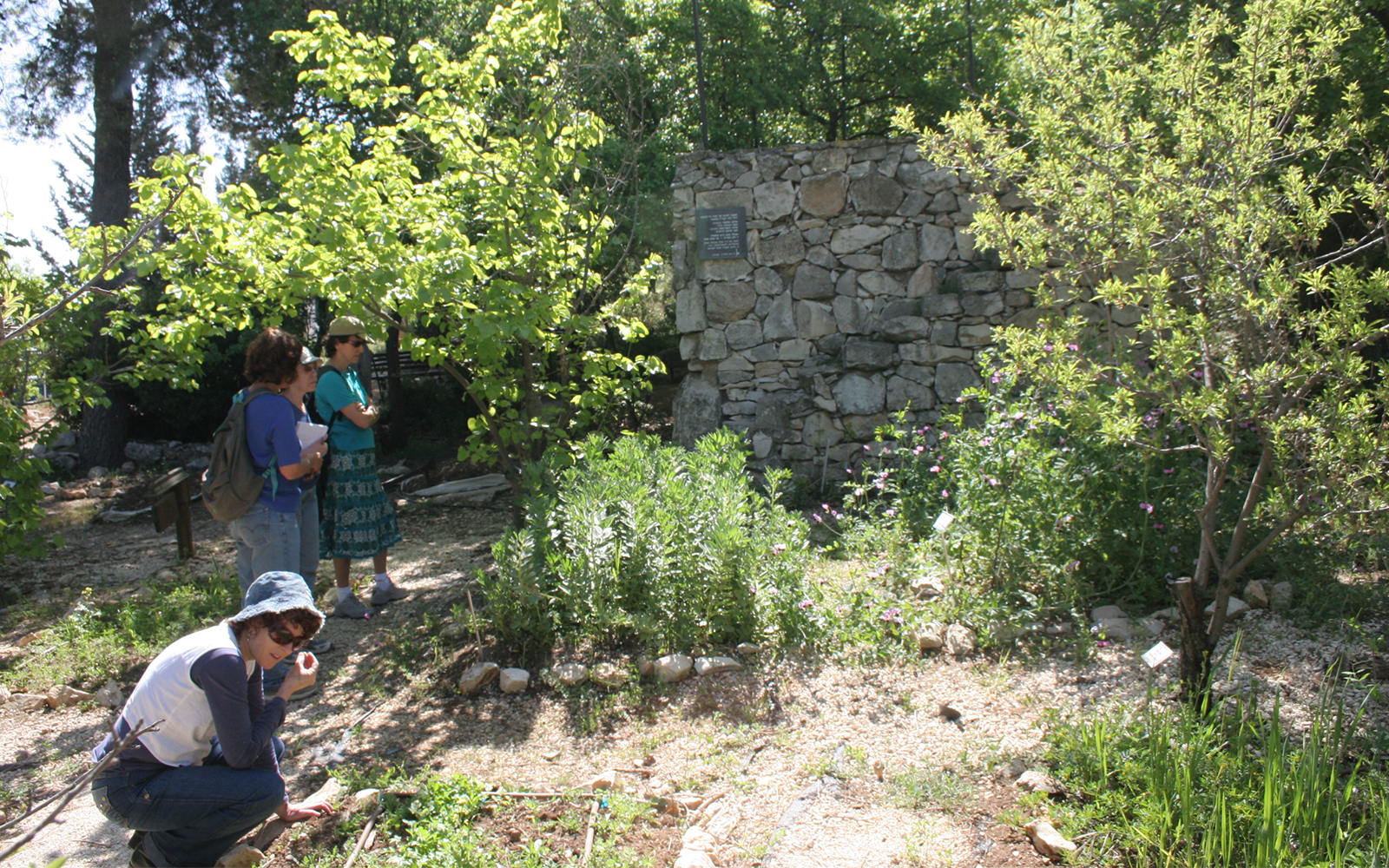 Blame soft grease pencils: Violence and absurdity in Jerusalem from ...