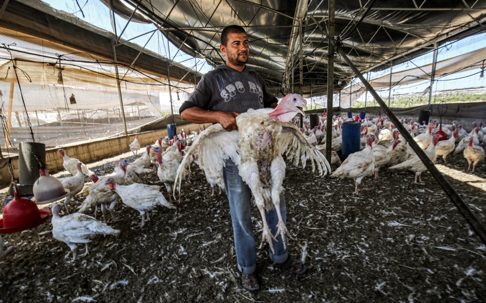 Some Gazans still speak Hebrew, 15 years after Israeli withdrawal | The ...