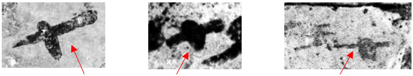 Police forensics join AI algorithms to track down who wrote the Bible ...