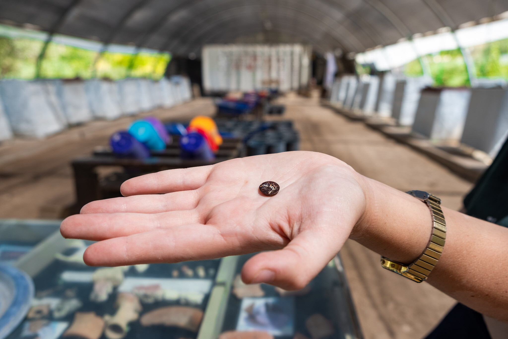 In 2,000-year-old Apollo seal, a sunny glimpse of pluralism in ancient ...