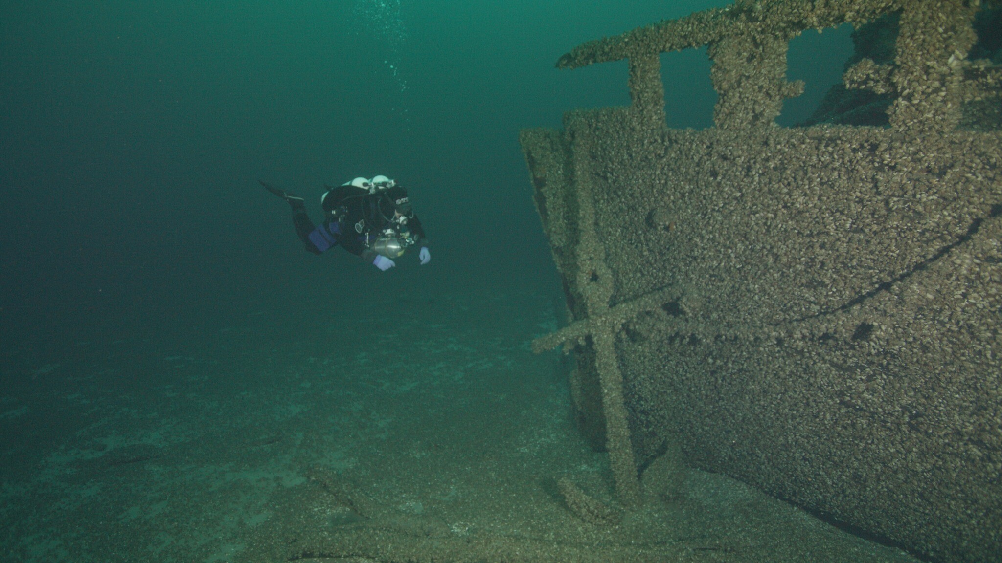 Samuel L. Jackson joins Israeli filmmaker in docuseries on global slave ...