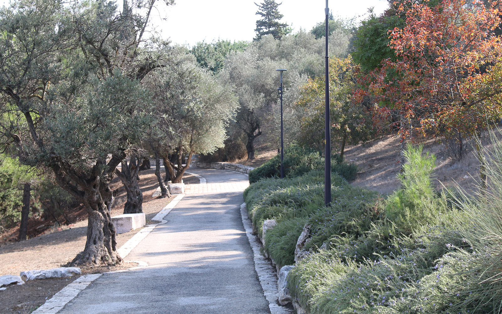 Church towers, blooming flowers: The sights & stories of Jerusalem's ...