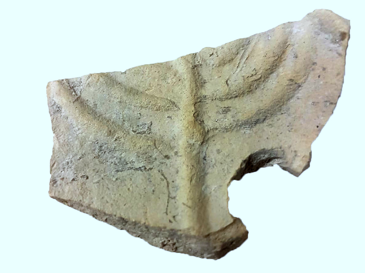 Ancient oil lamp haul found near Beit Shemesh digs up solution to ...