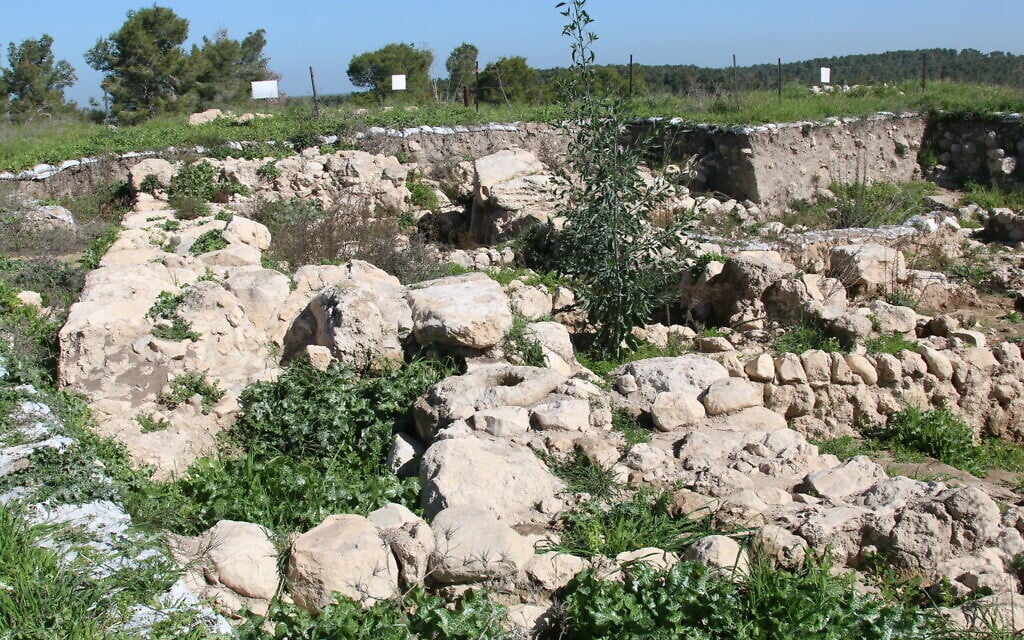 Tour 'King David's onetime home,' the 10th century BCE biblical city of ...