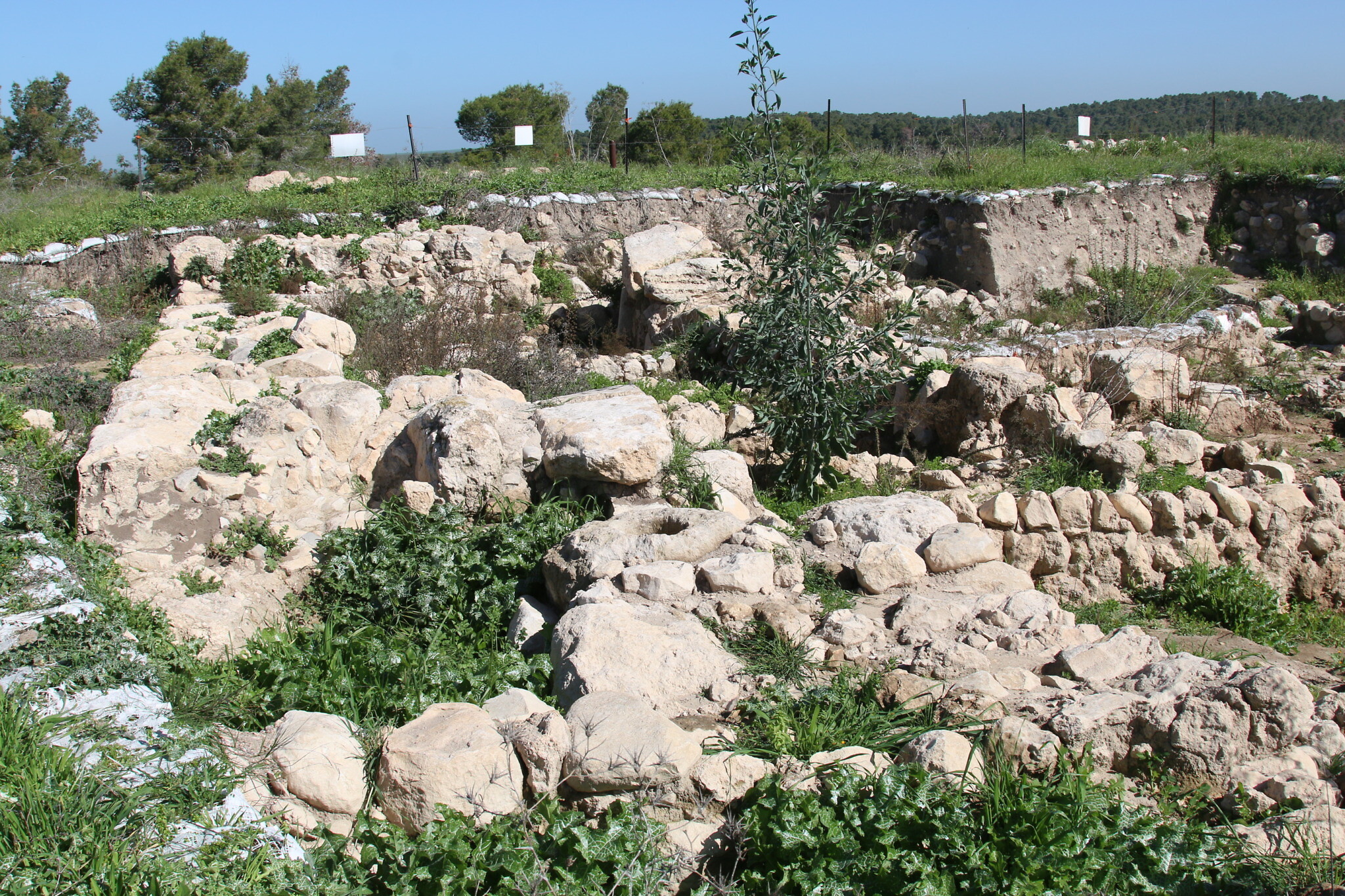 Tour 'King David's onetime home,' the 10th century BCE biblical city of ...