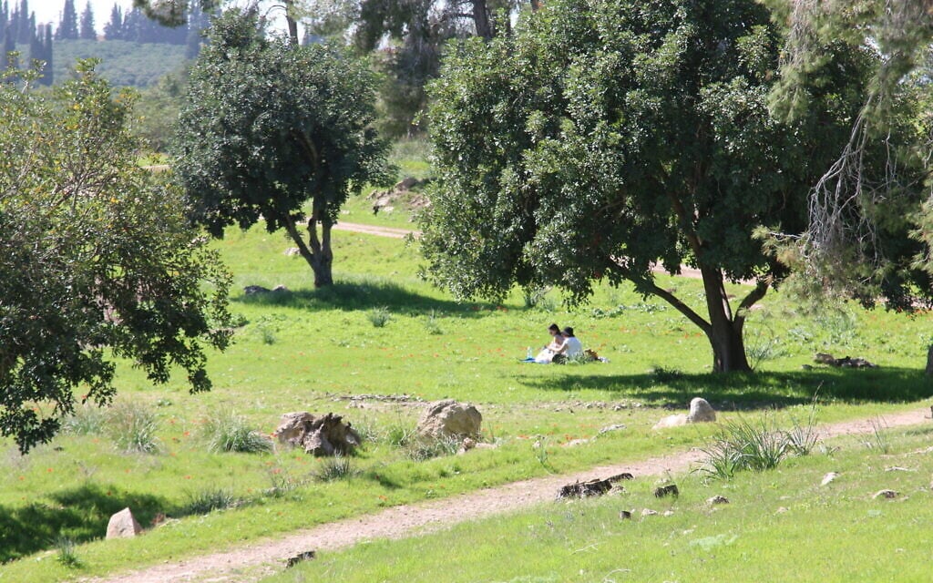 Tour 'King David's onetime home,' the 10th century BCE biblical city of ...