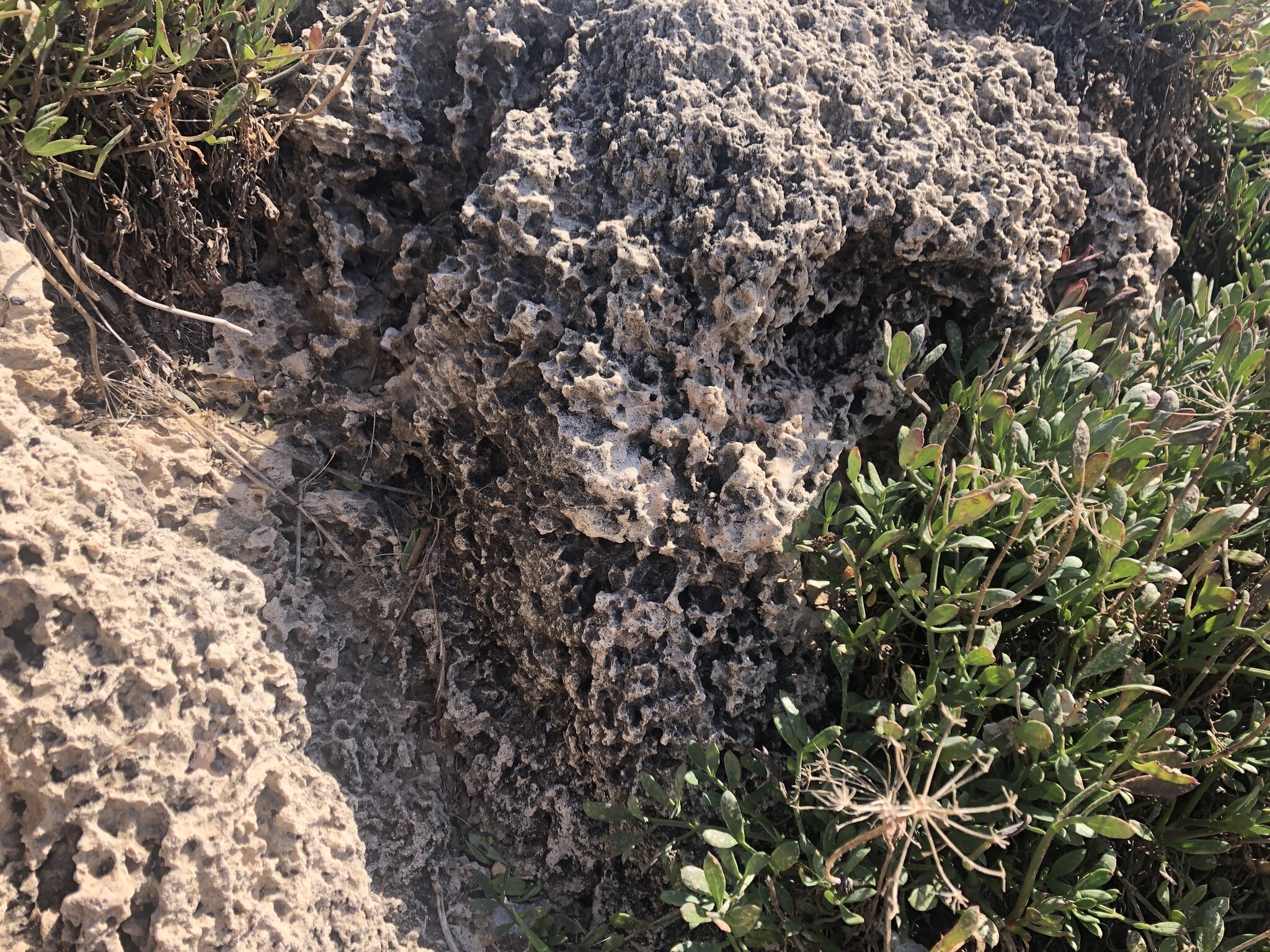 After a week of clean-up efforts, tar still 'everywhere' on Israel's ...
