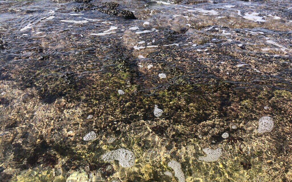 After a week of clean-up efforts, tar still 'everywhere' on Israel's ...