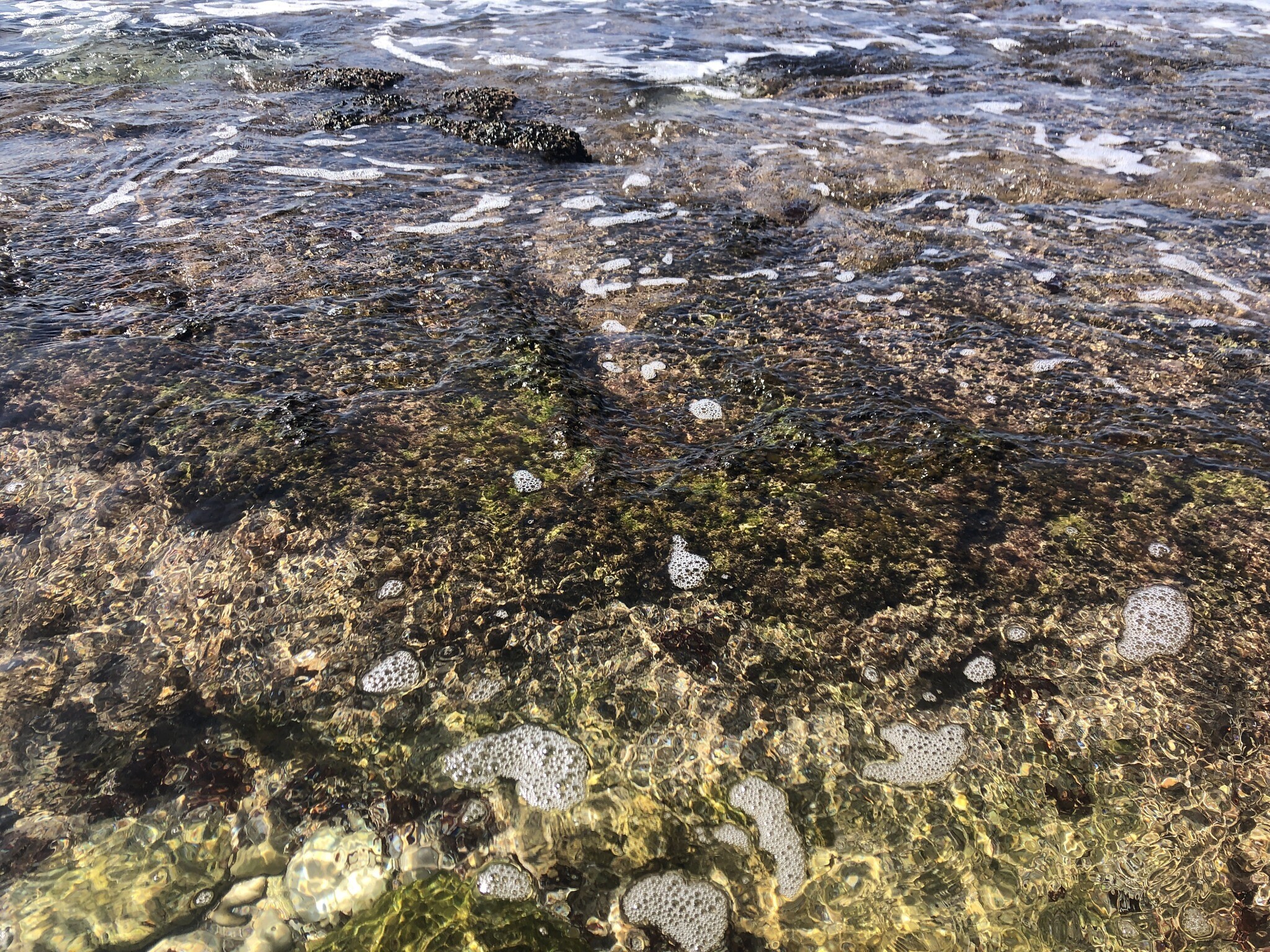 After a week of clean-up efforts, tar still 'everywhere' on Israel's ...