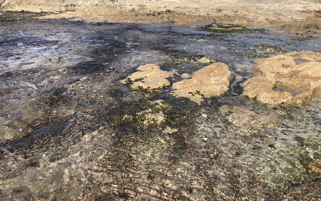 After a week of clean-up efforts, tar still 'everywhere' on Israel's ...