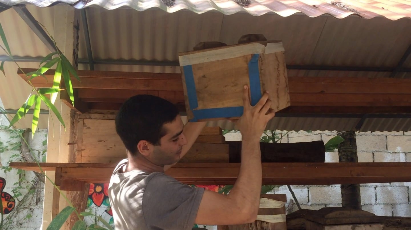 In Mexico, Israeli expat makes a buzz with refuge for endangered ...