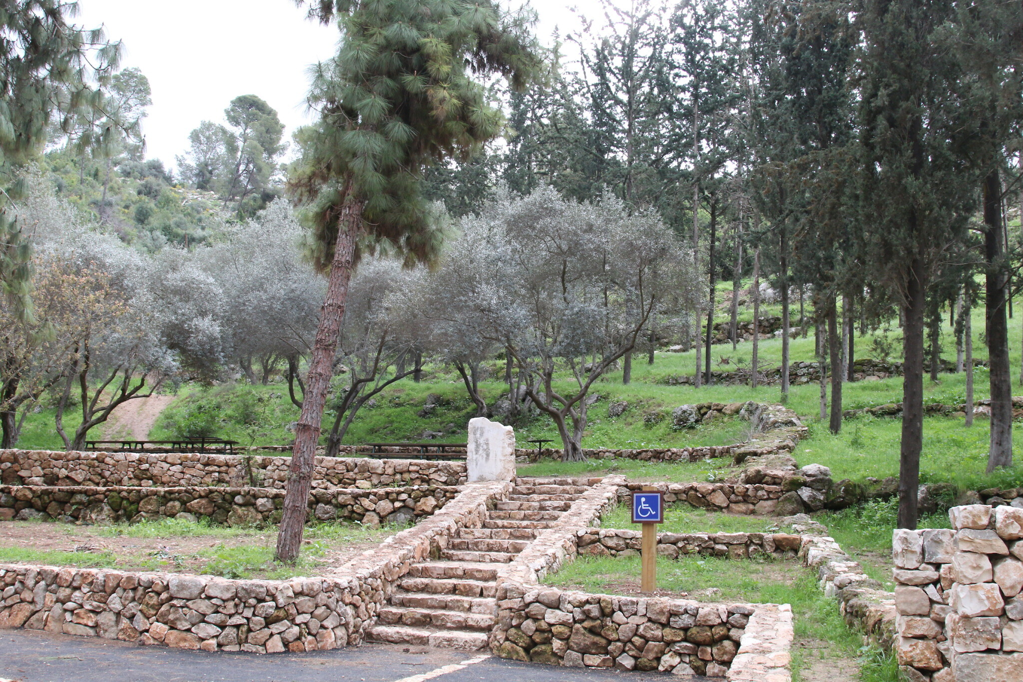 Paying homage to foreign volunteers who died in fight for Israel's ...