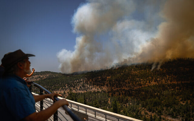 Huge forest fires near Jerusalem contained as terror suspicions mount ...