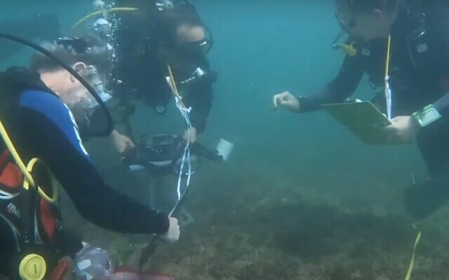 Illegal fishing taking toll on world's marine protected areas ...