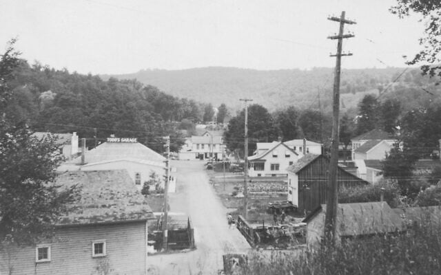 How Fleischmann’s yeast built the Jewish Catskills | The Times of Israel