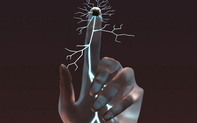 Israeli study offers hope of ‘rewiring’ nerves to restore lost sense of ...