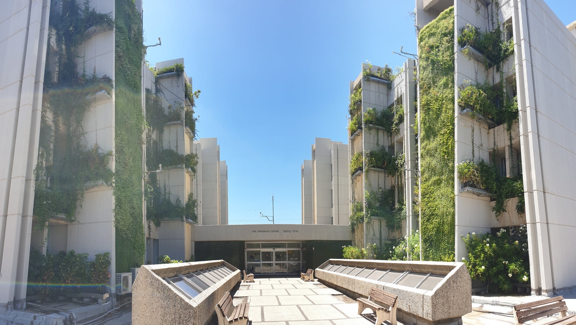 Plant-covered buildings can tame summer heat, Israeli study finds | The ...