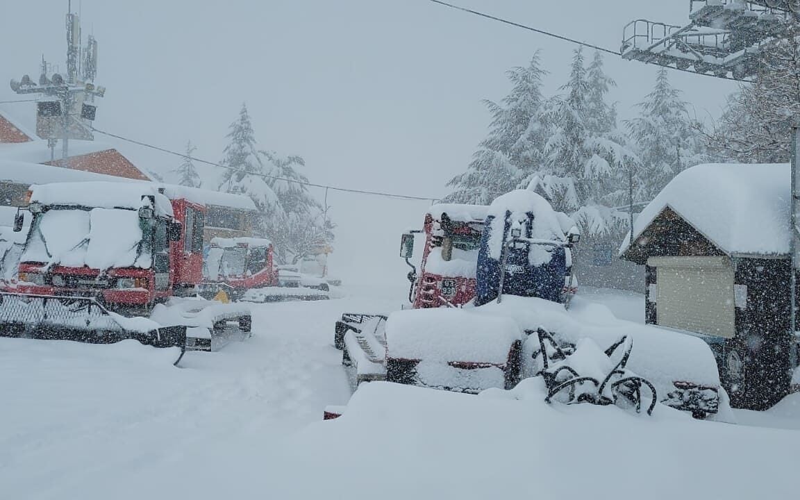 Winter storm Elpis brings heavy snow to Golan; schools in north ...