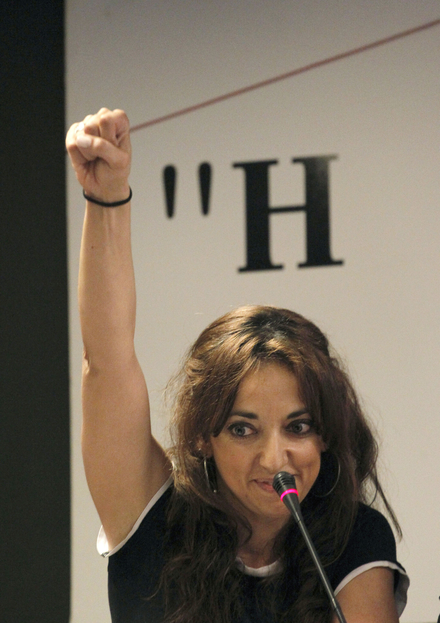 Palestinian activist Huwaida Arraf wants a seat in US Congress for ...