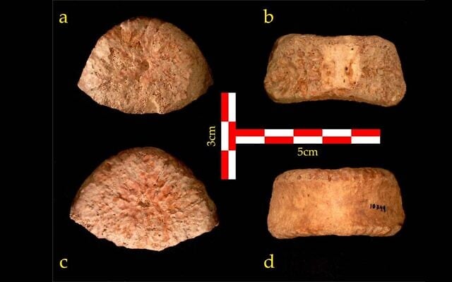 Scientists find oldest evidence of humans in Israel -- a 1.5 million ...