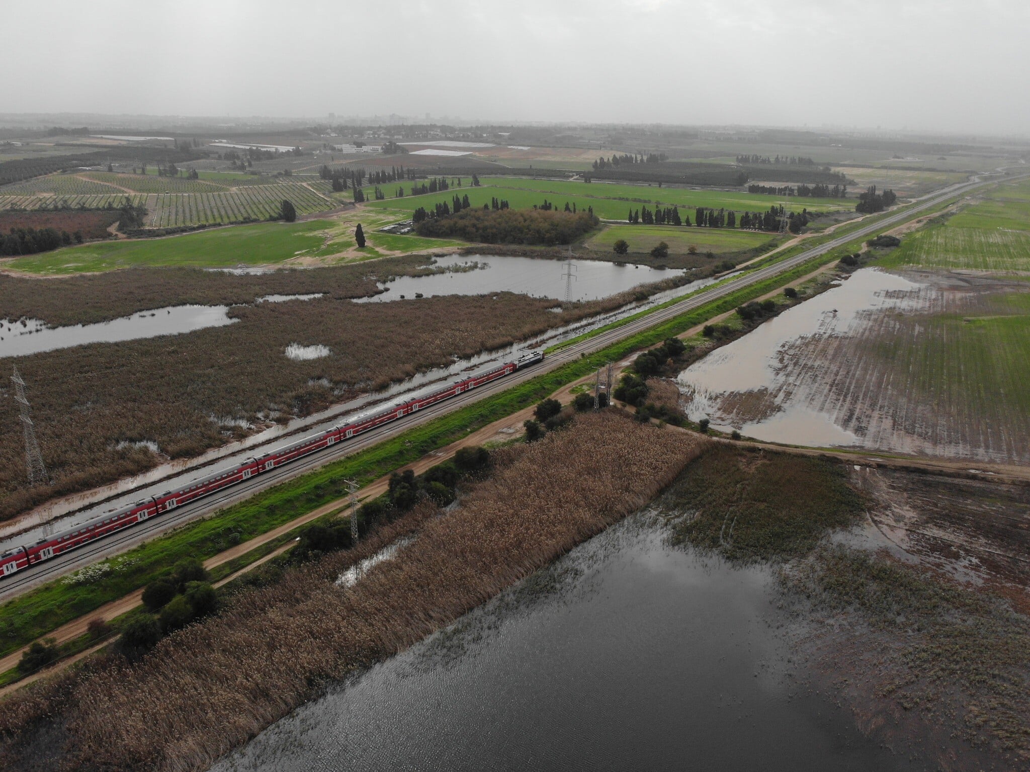 Green groups warn planned road in central Israel will kill off crucial ...