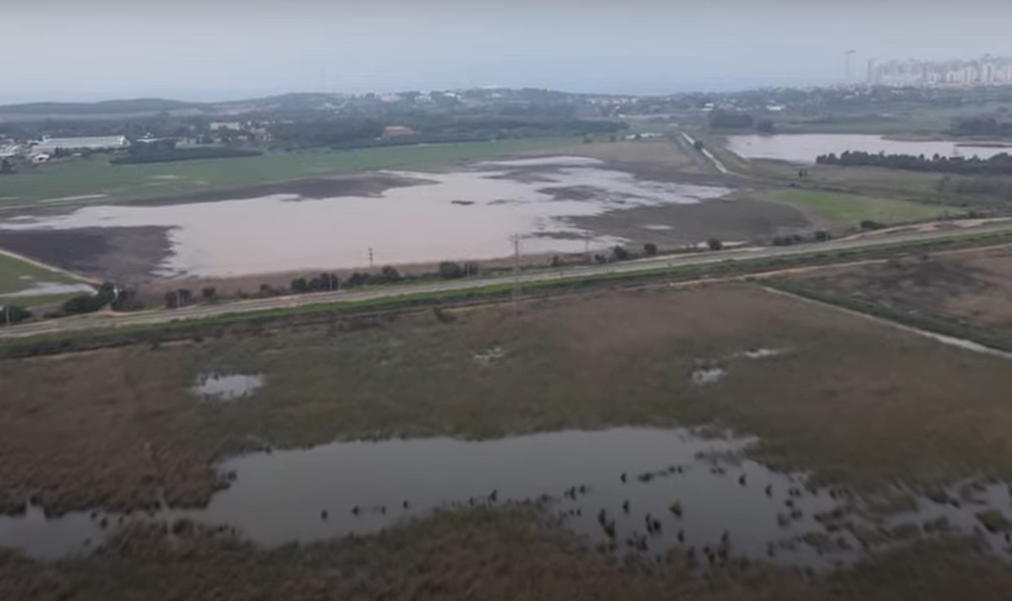 Green groups warn planned road in central Israel will kill off crucial ...
