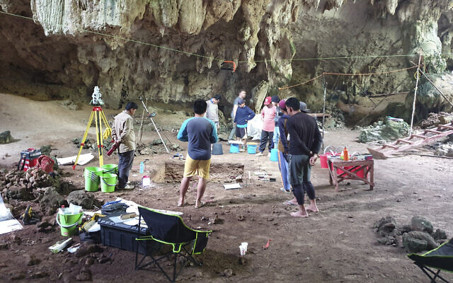 Ancient skeleton suggests amputation was successfully carried out ...