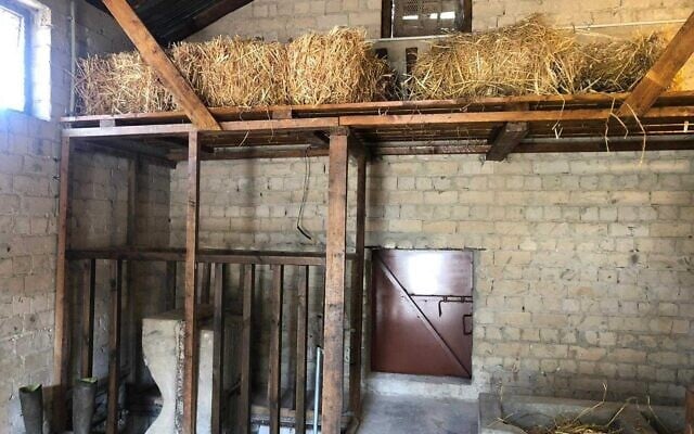 Thieves break into Haganah war exhibit, steal 20 decommissioned weapons ...