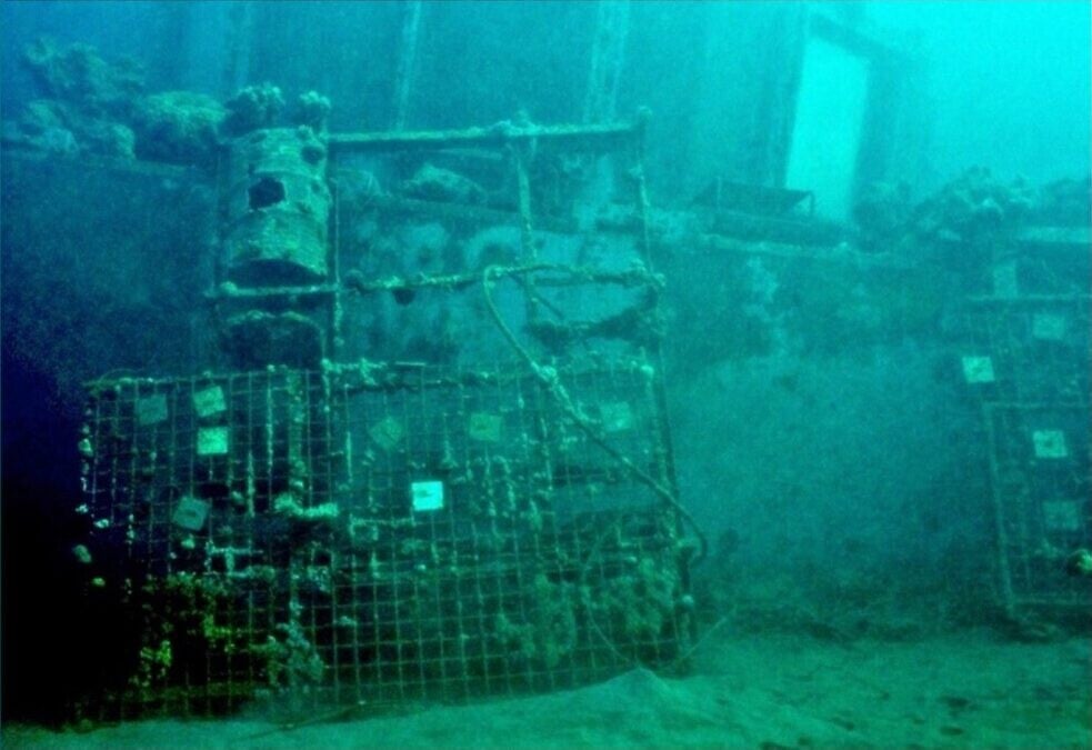 Israel's economy is setting sail into the deep blue tech sea | The Times of Israel