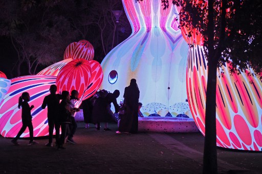 Saudi light festival tries to sell public on push to become arts ...
