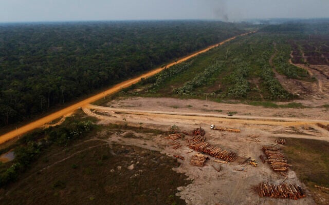 One-third of Amazon rainforest damaged by human activity and drought ...