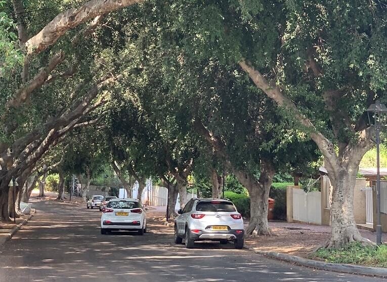 A playground for the 1%, Savyon's multimillion shekel homes suddenly ...