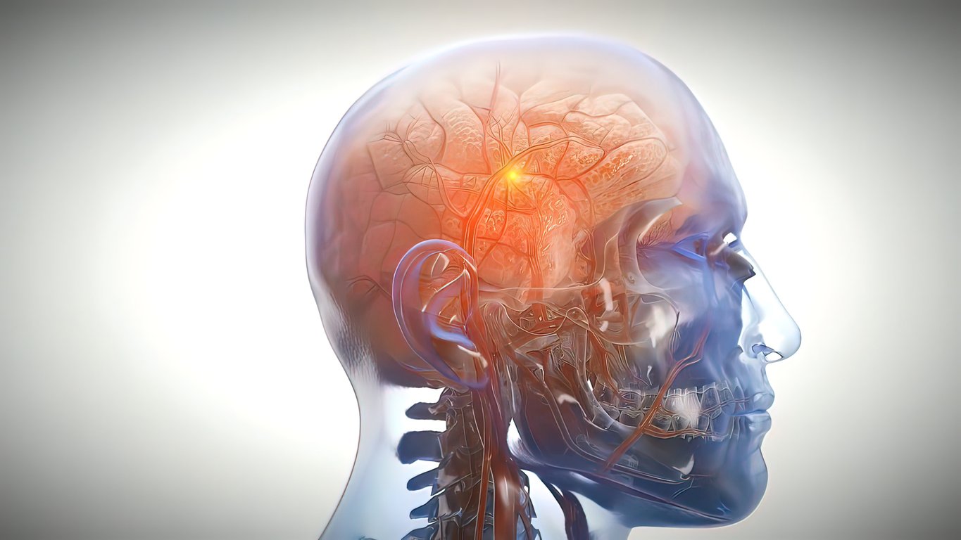 Israeli researchers decode mechanism of rare neurological disease | The Times of Israel