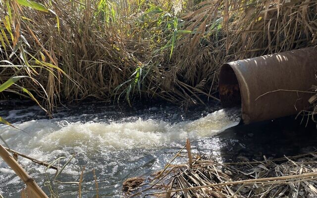 Most wastewater treatment plants reaching capacity, state comptroller ...